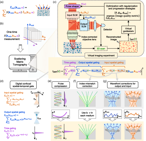 Adaptive optical multispectral matrix approach for label-free high ...