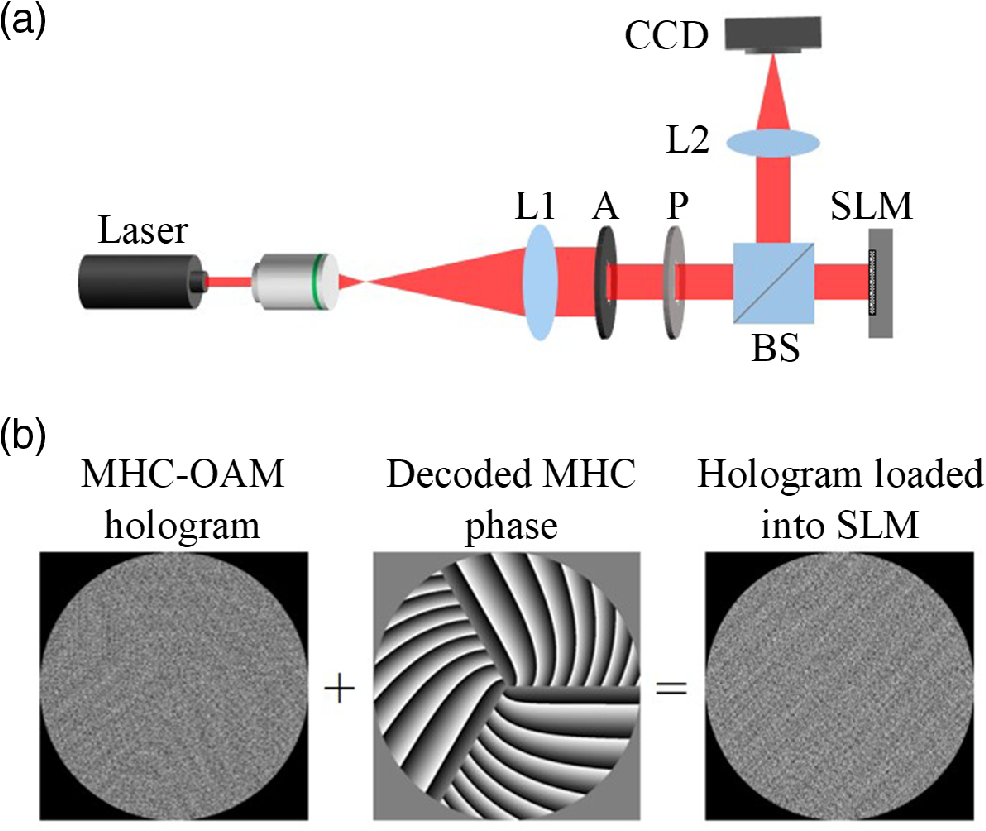 Multiparameter encrypted orbital angular momentum multiplexed ...