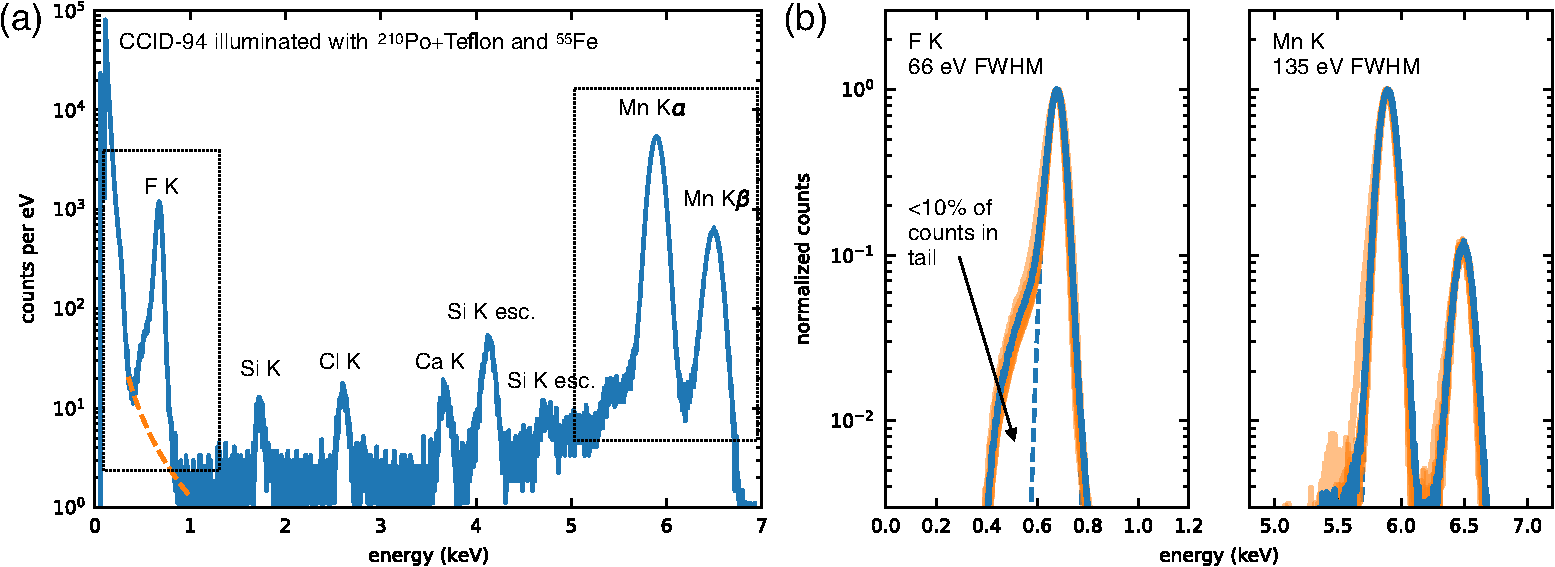 Focal plane of the Arcus Probe X-ray spectrograph