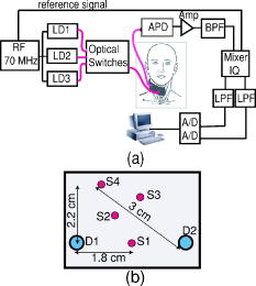 Noninvasive diffuse optical measurement of blood flow and blood ...
