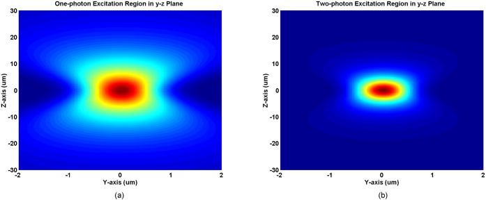 Quantitative two-photon flow cytometry—in vitro and in vivo