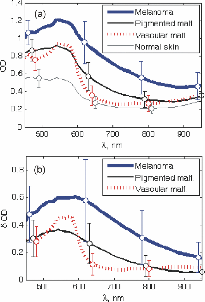 Towards noncontact skin melanoma selection by multispectral imaging ...