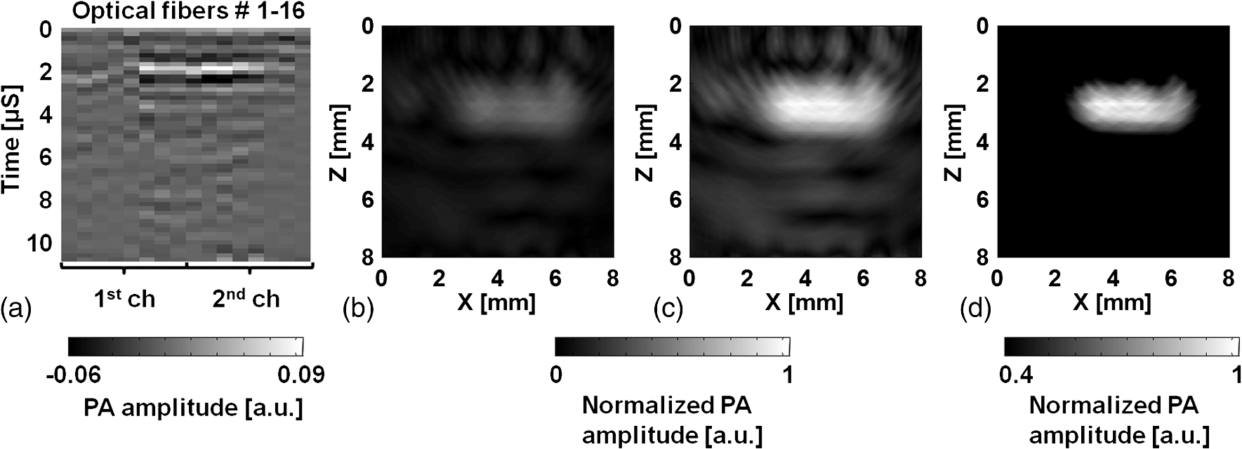 Parallel acoustic delay lines for photoacoustic tomography