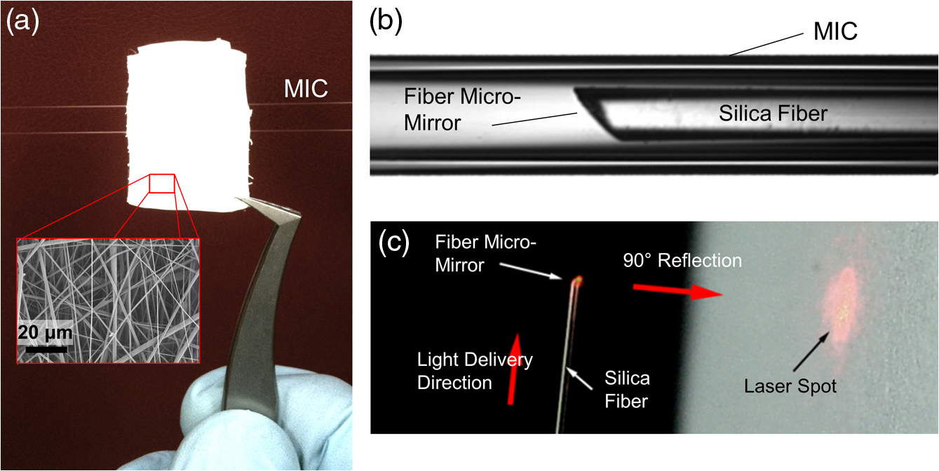 Scanning-fiber-based imaging method for tissue engineering