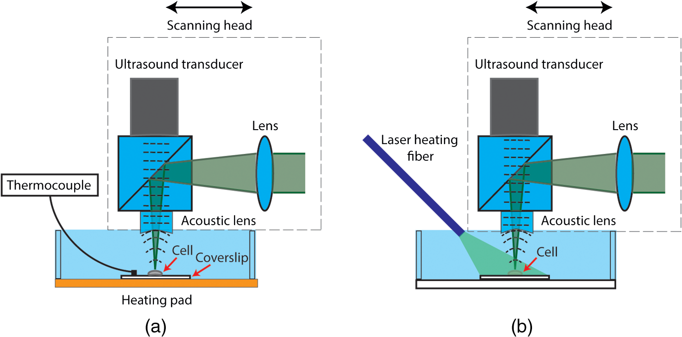 Single-cell photoacoustic thermometry