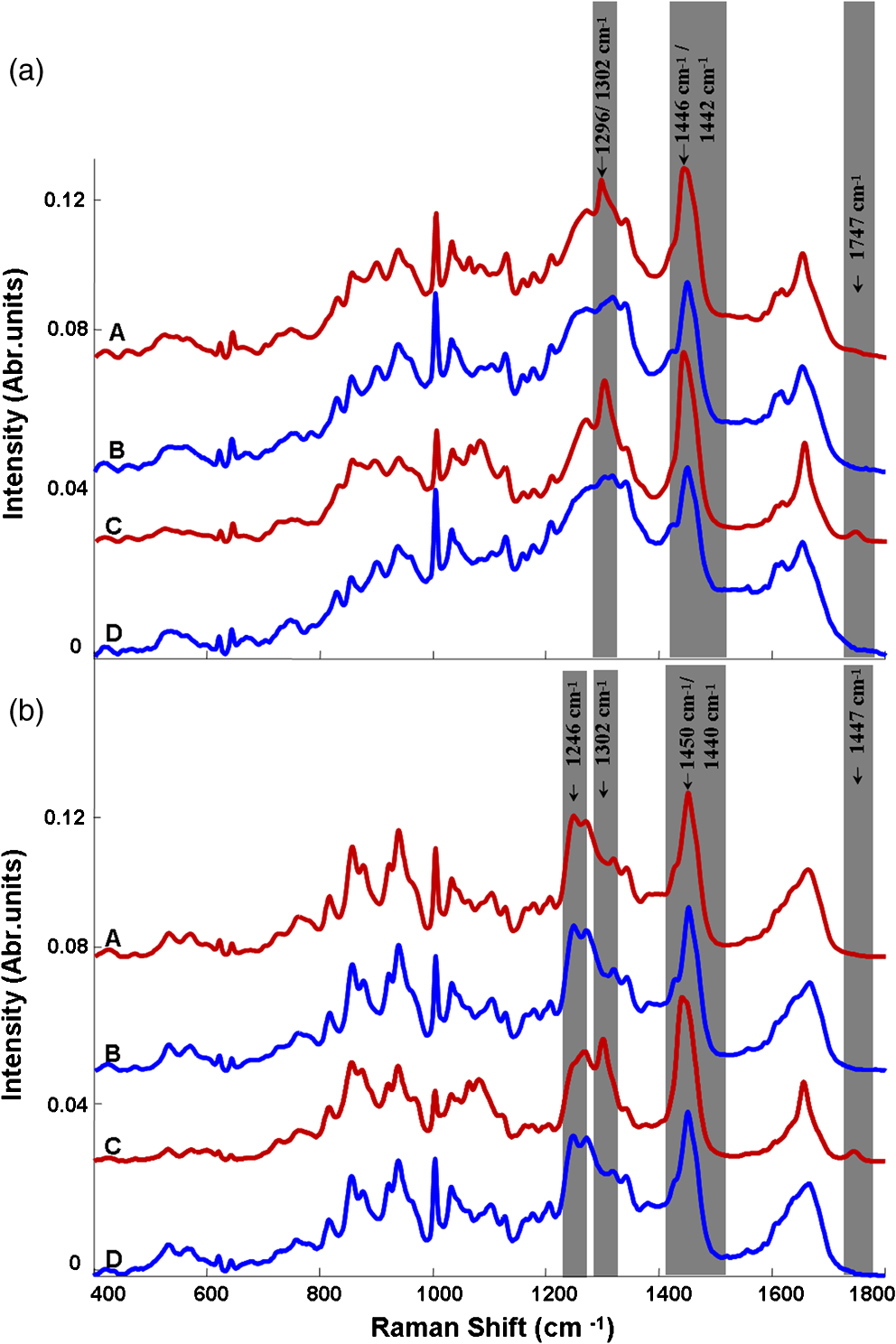 Raman spectroscopic analysis of human skin tissue sections ex-vivo ...