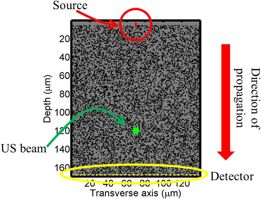 Diffusion model for ultrasound-modulated light