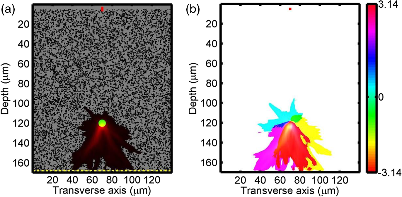 Diffusion model for ultrasound-modulated light