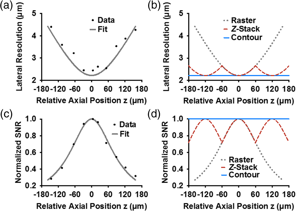 Microvascular quantification based on contour-scanning photoacoustic ...