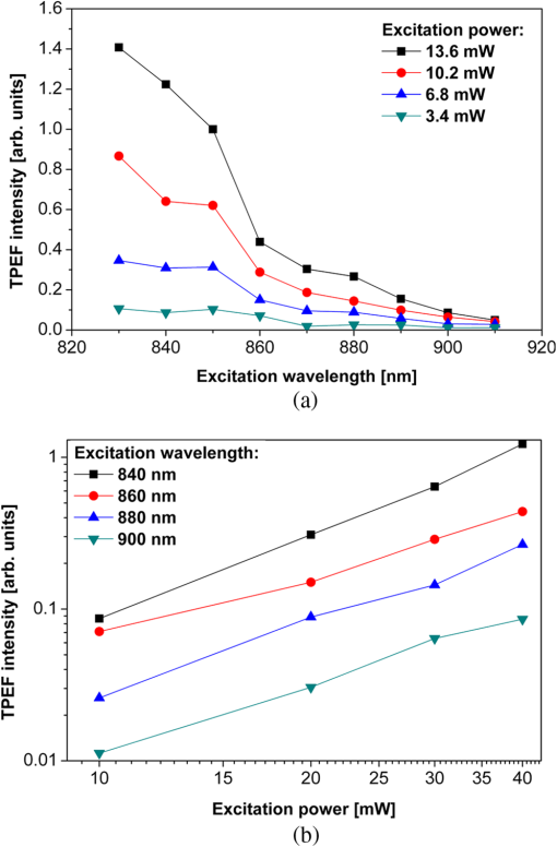 Nonlinear microscopy of chitin and chitinous structures: a case study ...