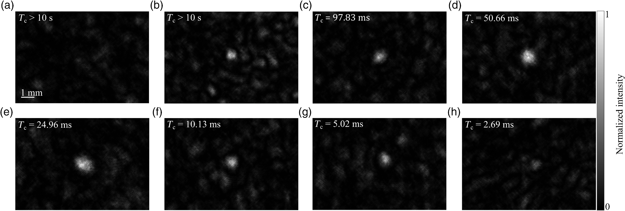 Hybridized wavefront shaping for high-speed, high-efficiency focusing ...