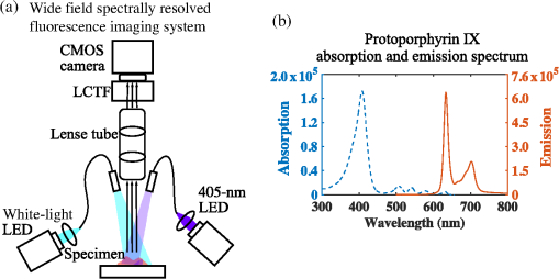 Wide-field spectrally resolved quantitative fluorescence imaging system ...