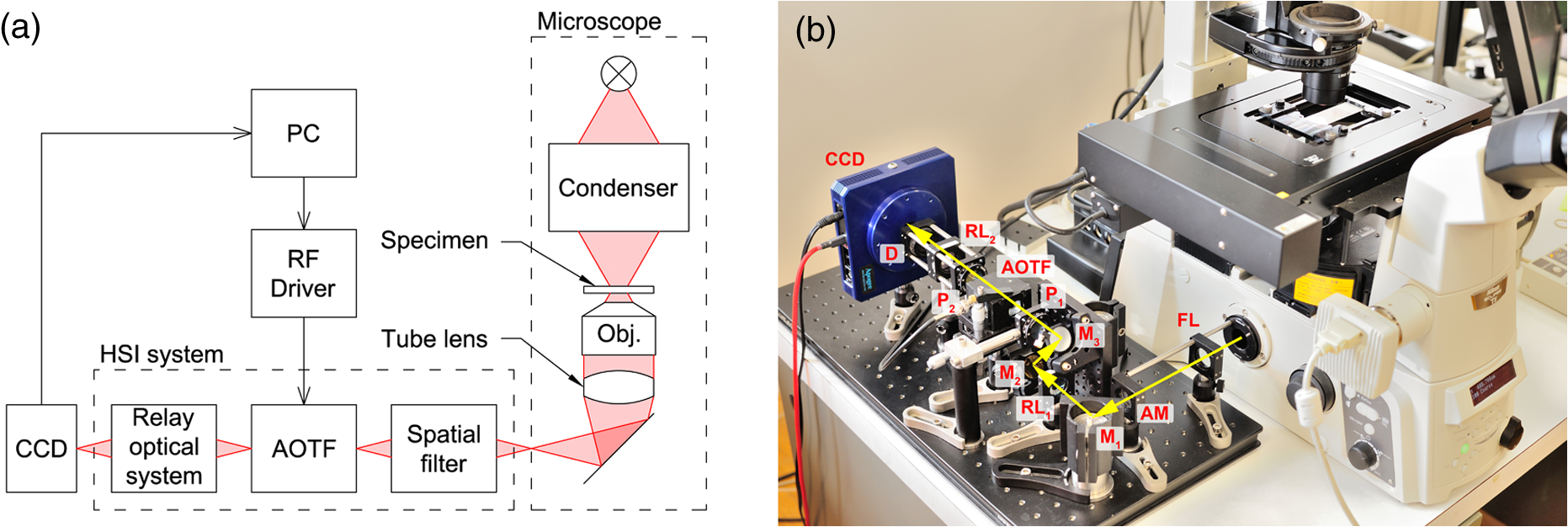 Hyperspectral imaging acousto-optic system with spatial filtering for ...