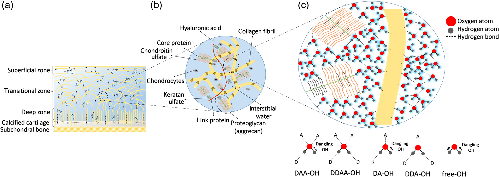 Shortwave-infrared Raman spectroscopic classification of water ...