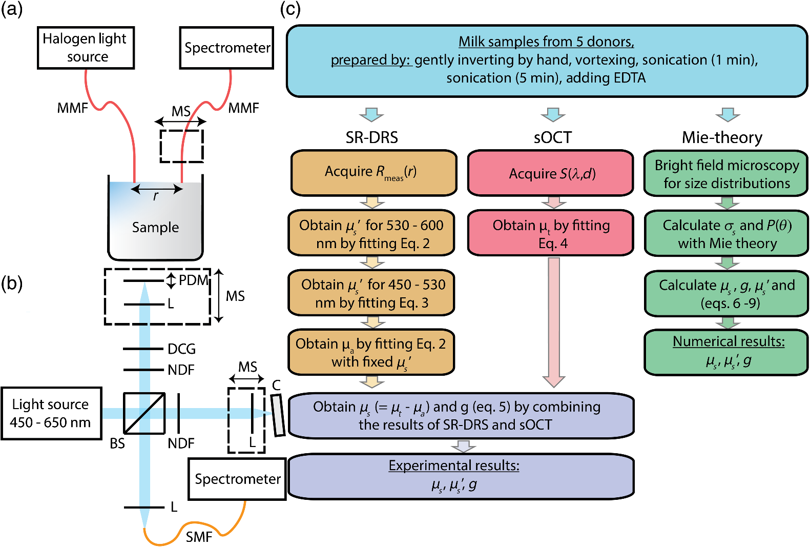 Dependency of the optical scattering properties of human milk on casein ...