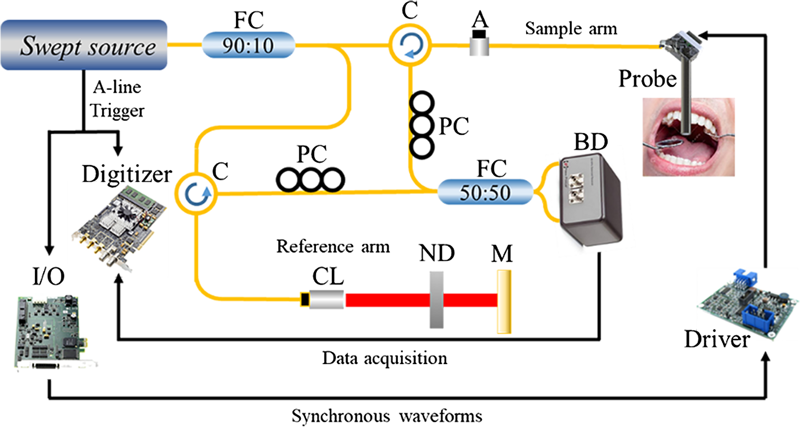 Low-cost, ultracompact handheld optical coherence tomography probe for ...