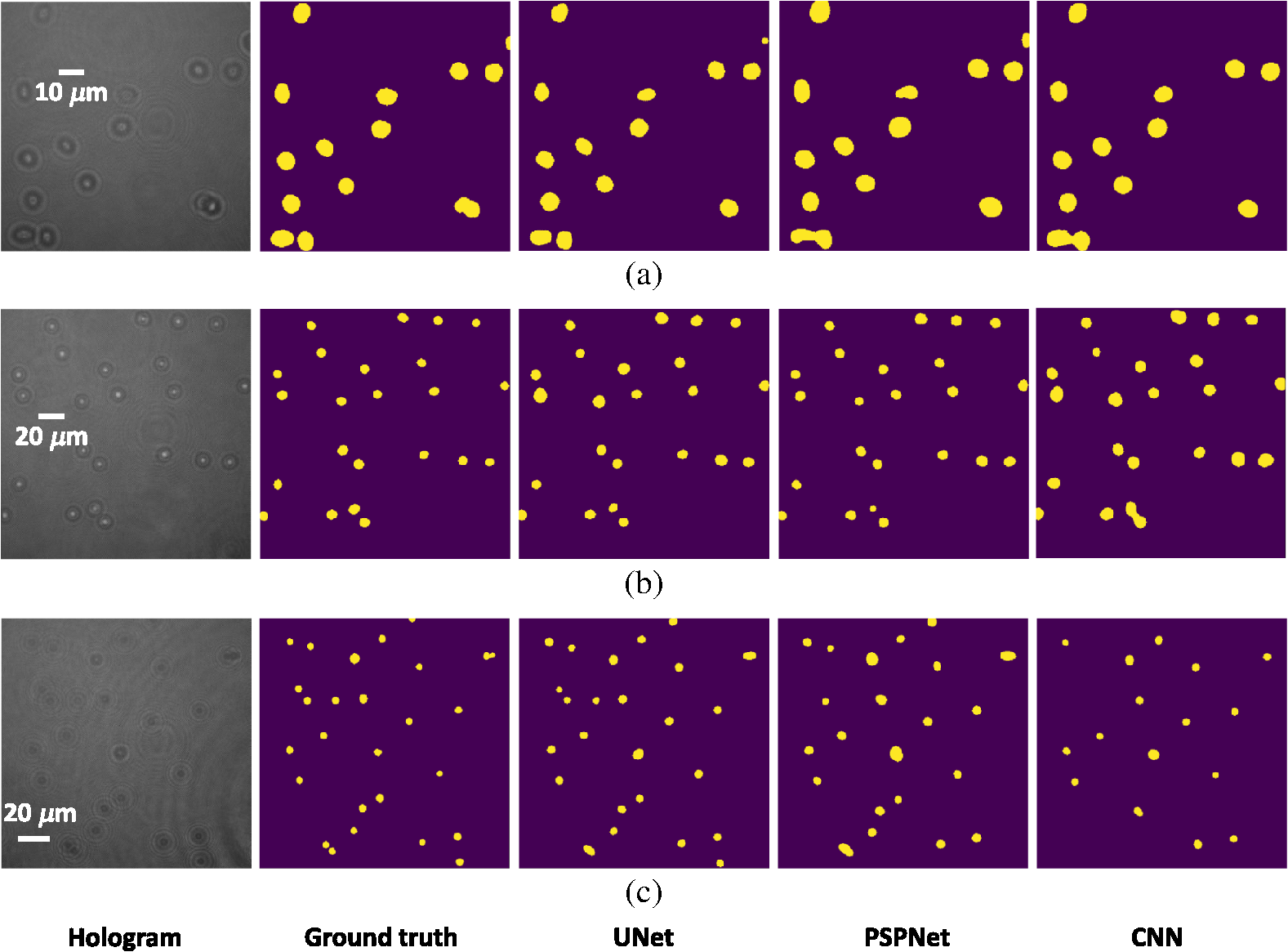 High Throughput Label Free Cell Detection And Counting From Diffraction Patterns With Deep Fully