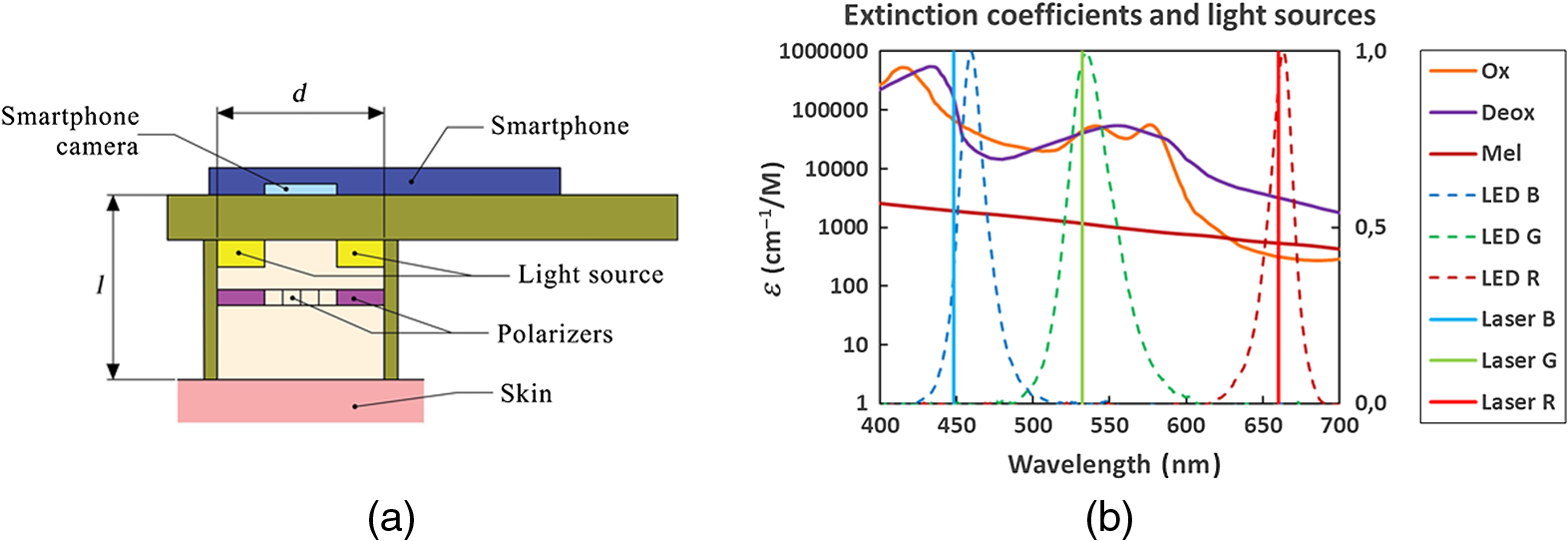 Skin chromophore mapping by smartphone RGB camera under spectral band ... Skin chromophore mapping by smartphone RGB camera under spectral band ...
