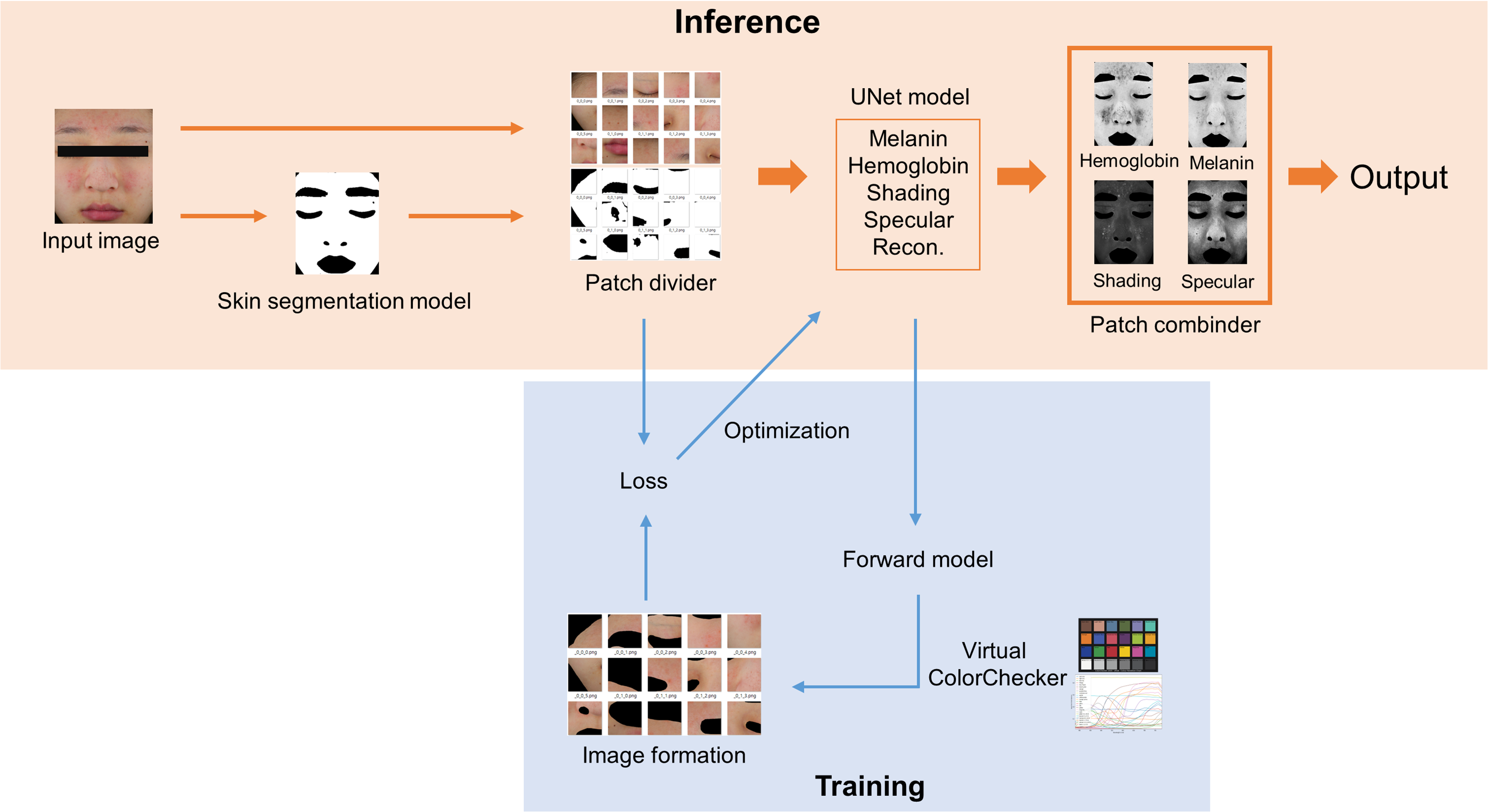 Deep learning-based optical approach for skin analysis of melanin and ...