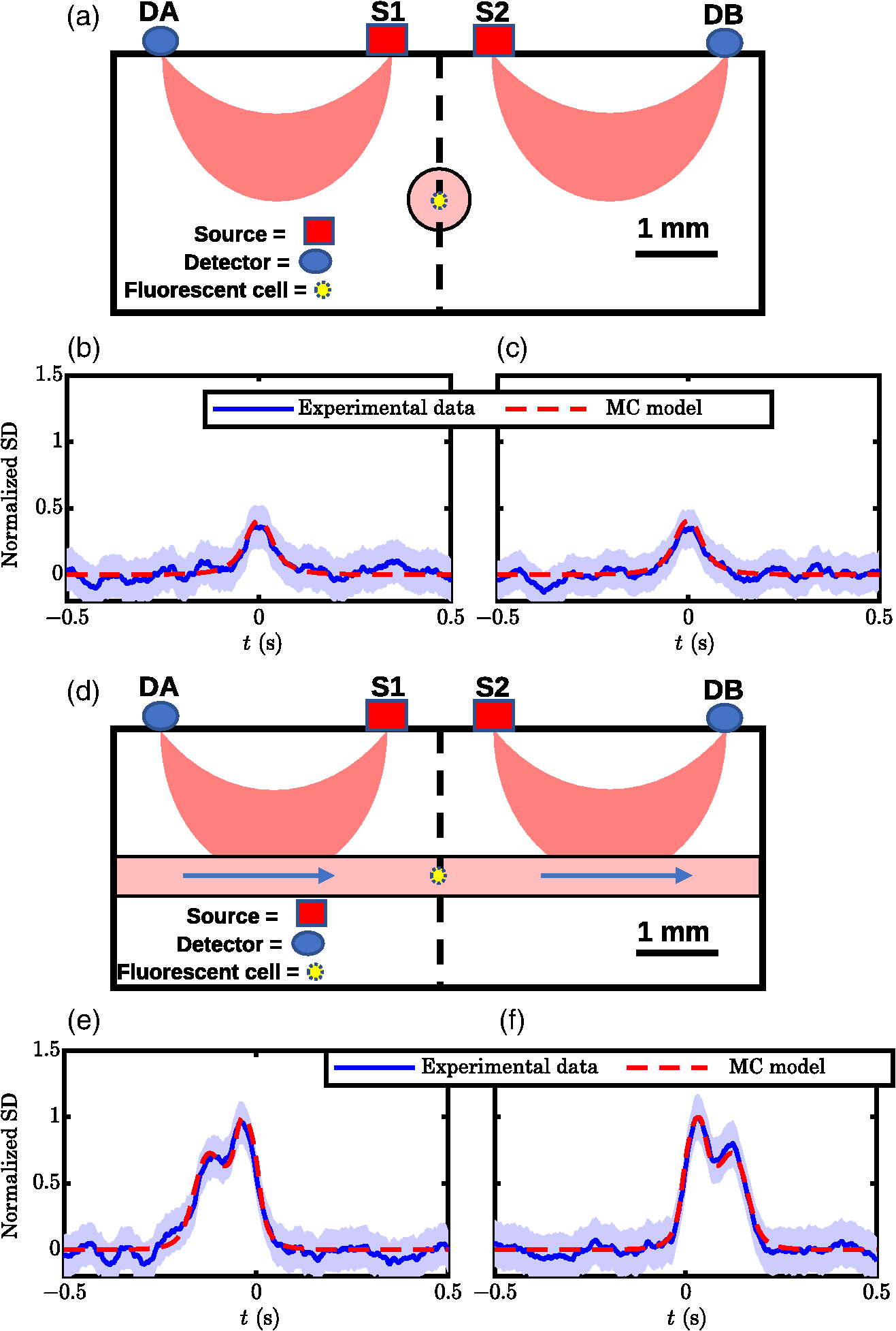 Dual-ratio approach for detection of point fluorophores in biological ...