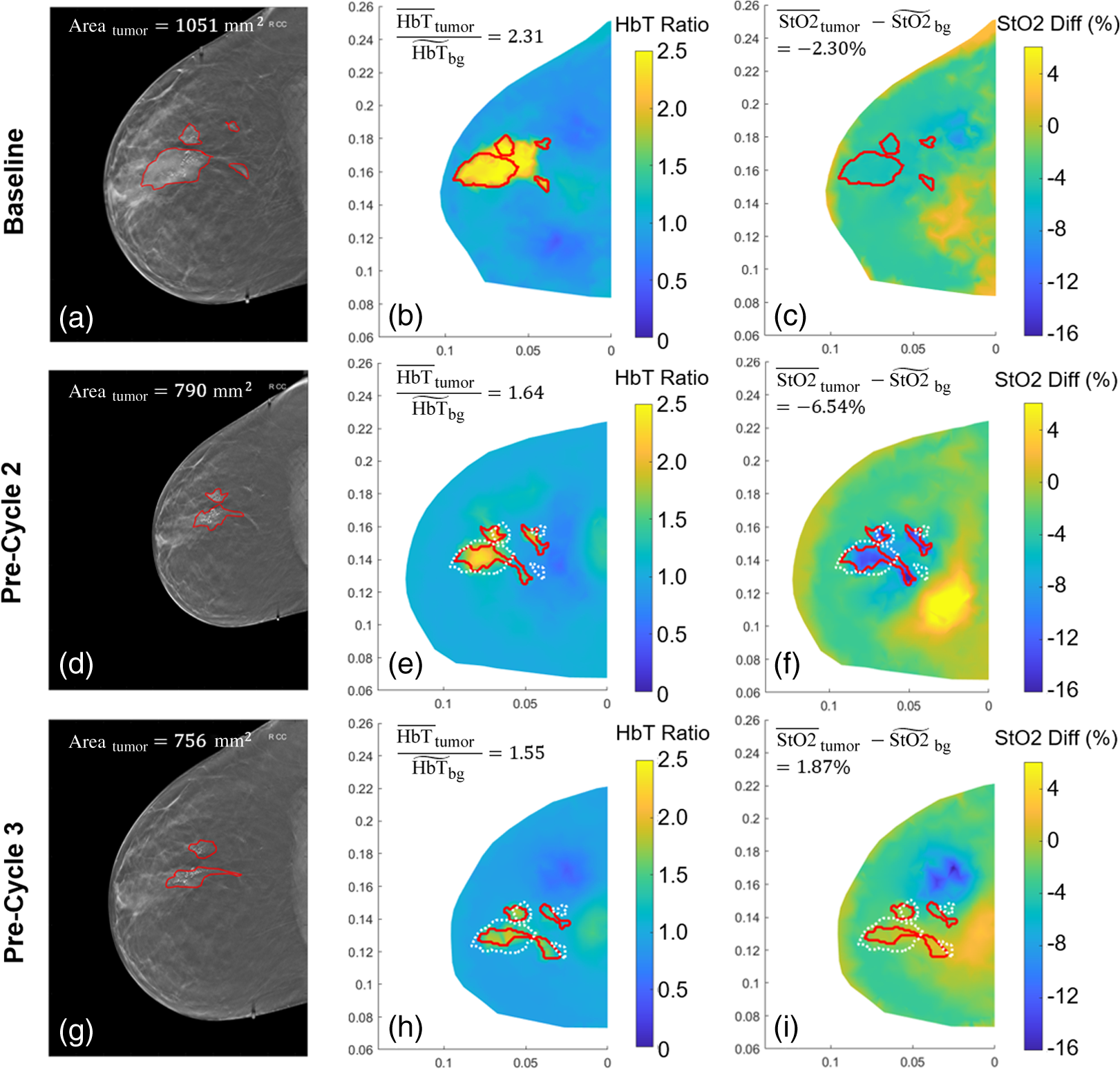 Functional hemodynamic imaging markers for the prediction of ...