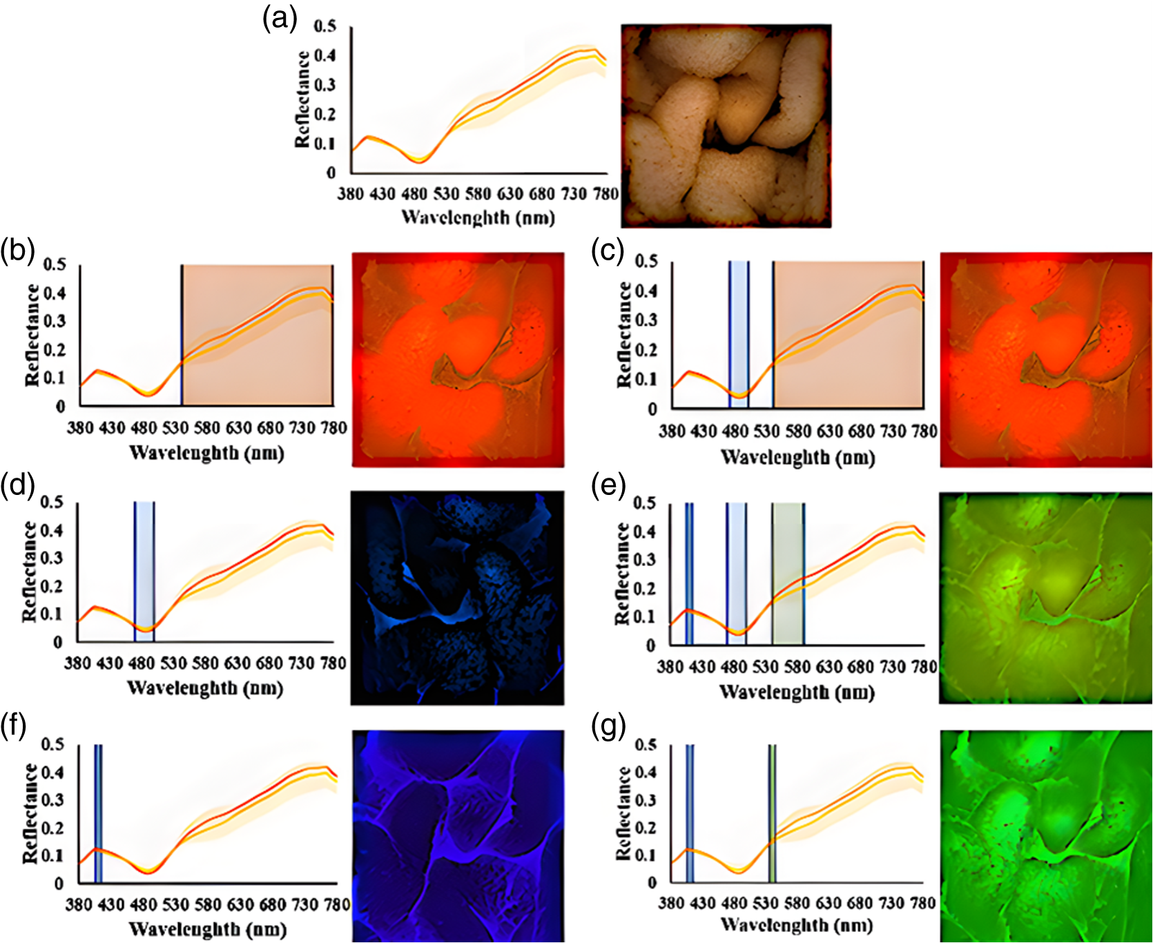 Small intestinal bleeding prediction by spectral reconstruction through ...