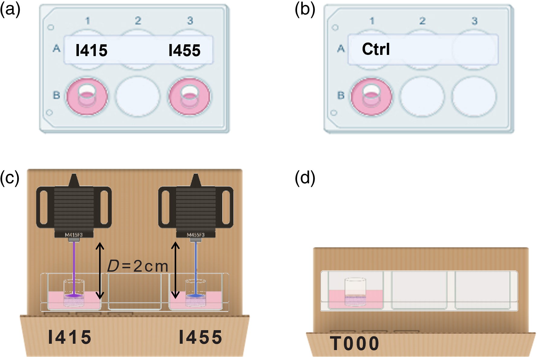 Evaluating blue light impact on reconstructed human epidermis using ...