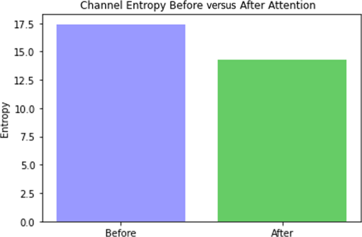 Diffuse optical imaging with channel attention fusion network