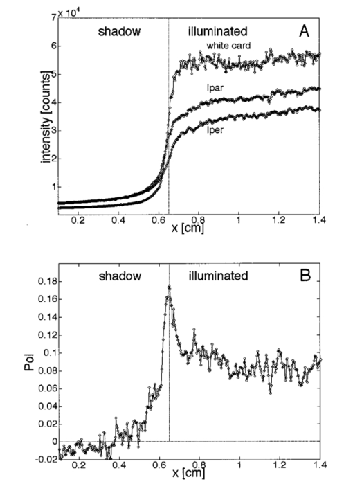 Imaging skin pathology with polarized light