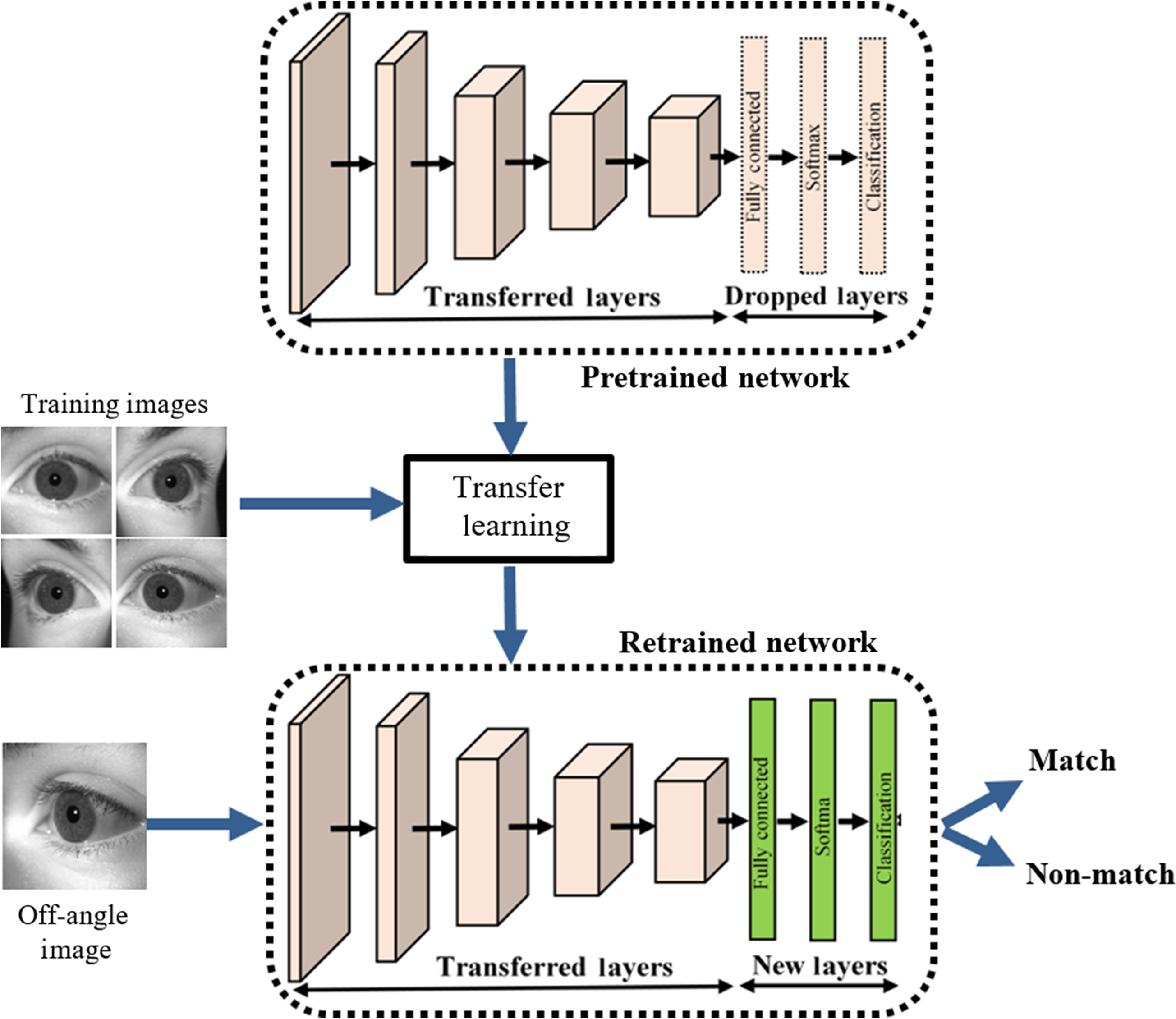 Iris-ocular-periocular: toward more accurate biometrics for off-angle ...