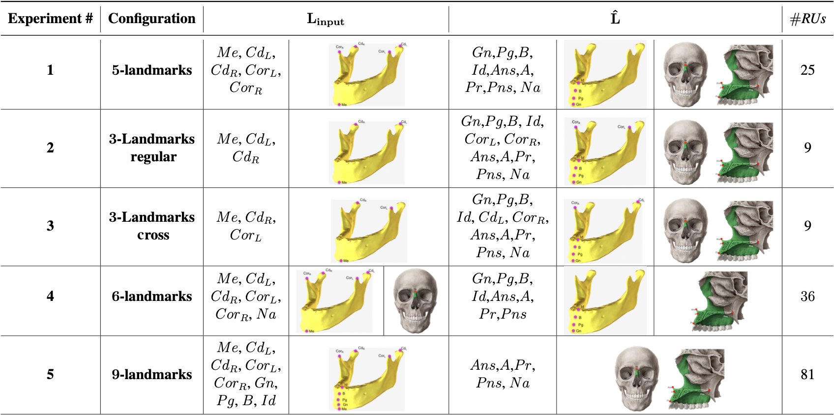Relational reasoning network for anatomical landmarking