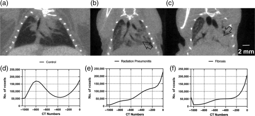 Respiratory-gated micro-computed tomography imaging to measure ...