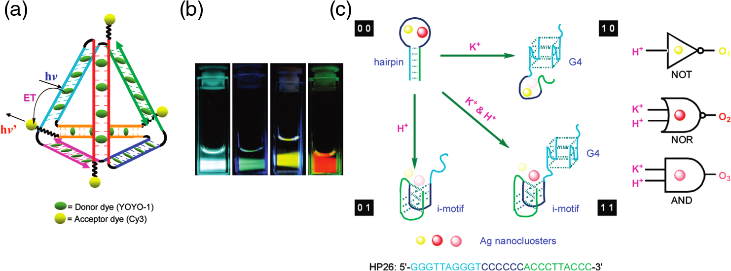 DNA as scaffolding for nanophotonic structures
