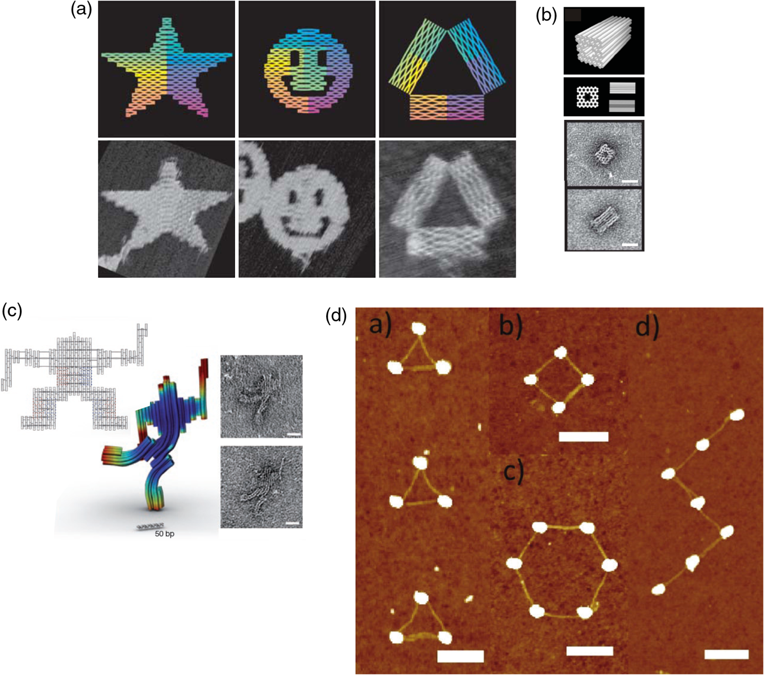 DNA as scaffolding for nanophotonic structures