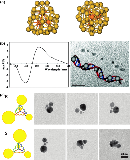 DNA as scaffolding for nanophotonic structures