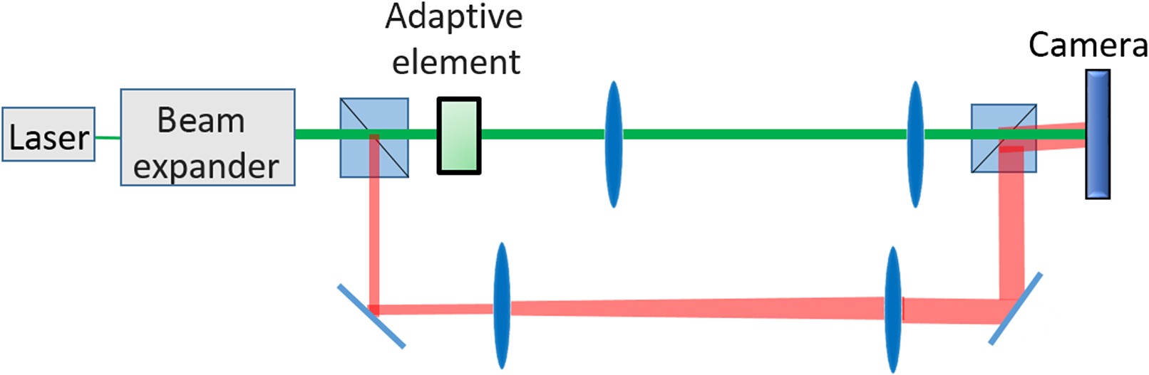 3D-scanning microscopy with adaptive lenses and prisms for zebrafish ...