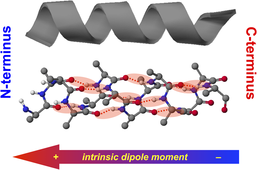 Bioinspired molecular electrets: bottom-up approach to energy materials ...
