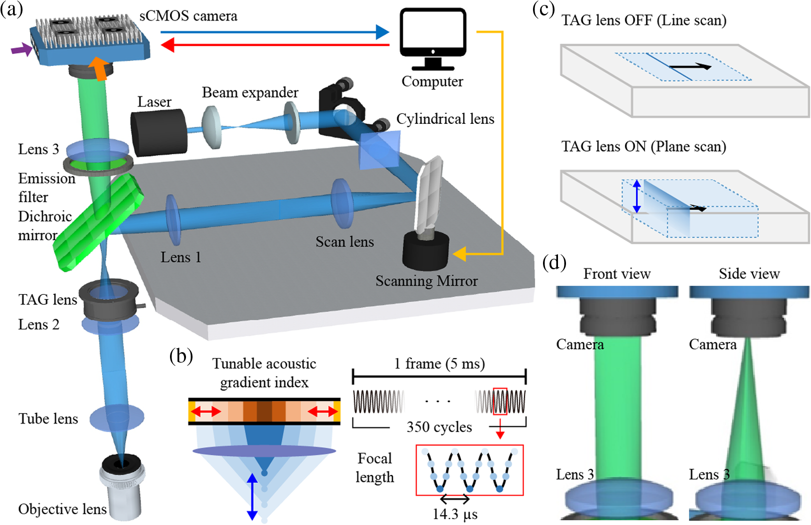 Rapid axially scanned and de-scanned line-scan confocal microscopy with ...