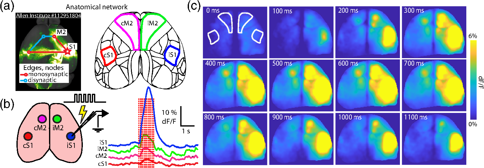 Seizure network characterization by functional connectivity mapping and ...