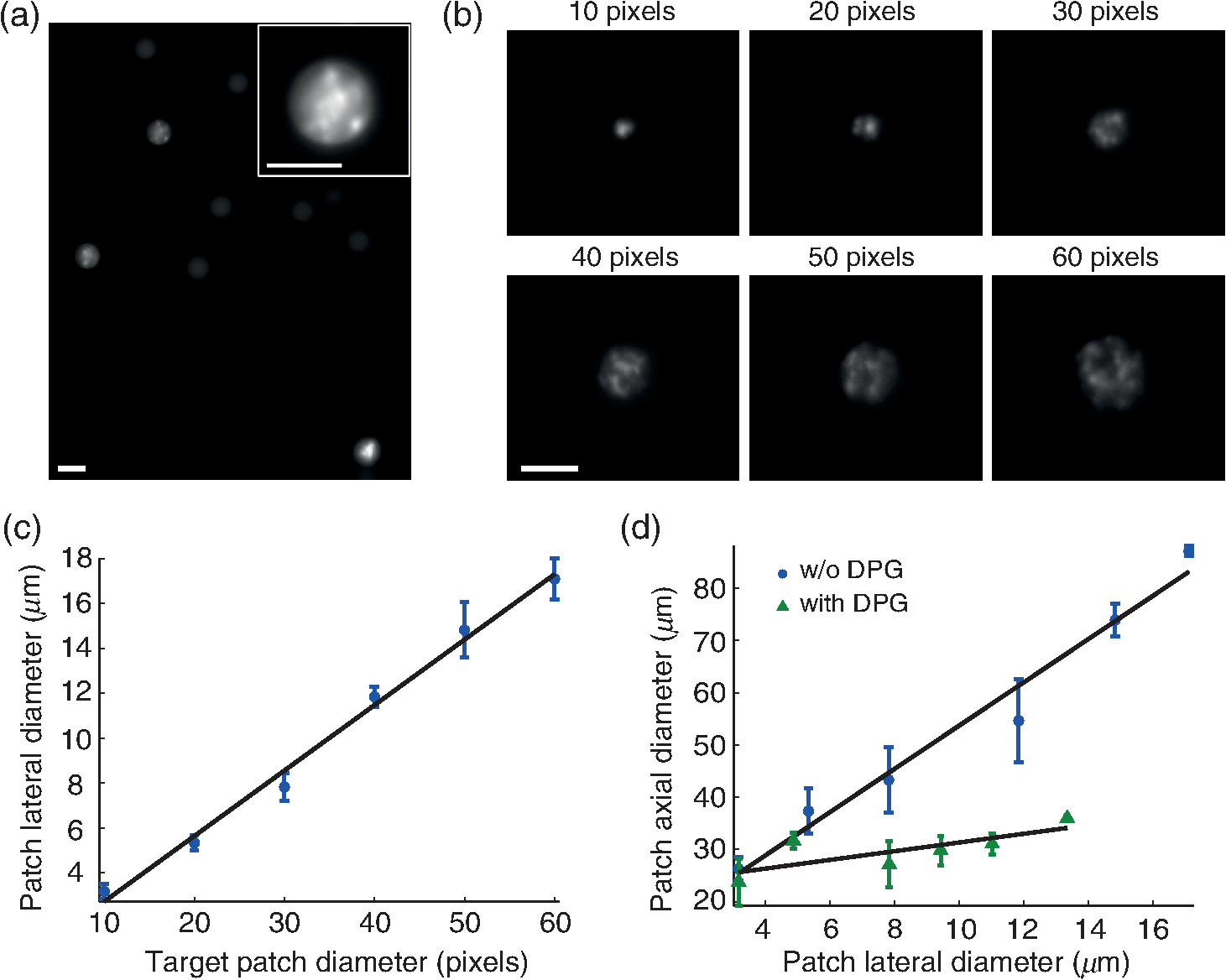 All-optical bidirectional neural interfacing using hybrid multiphoton ...
