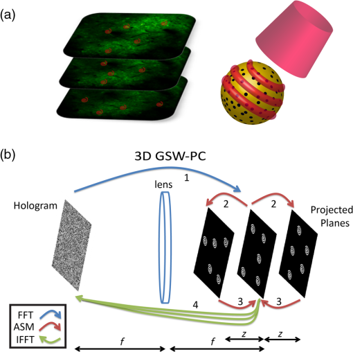 Phase-controlled, speckle-free holographic projection with applications ...