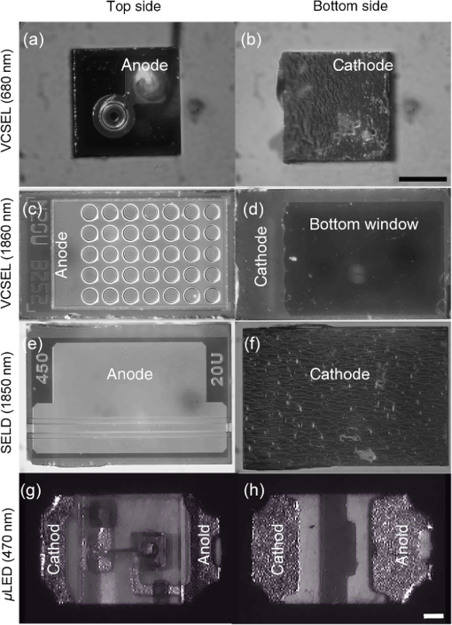 Multichannel optrodes for photonic stimulation