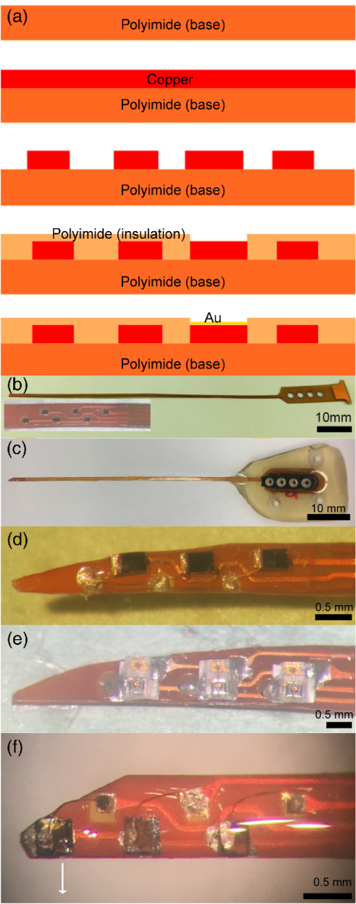 Multichannel optrodes for photonic stimulation