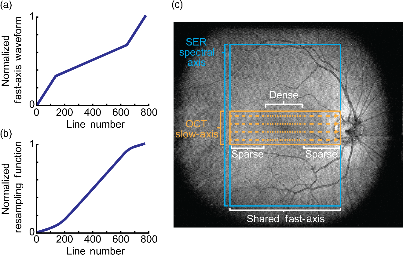 Handheld spectrally encoded coherence tomography and reflectometry for ...