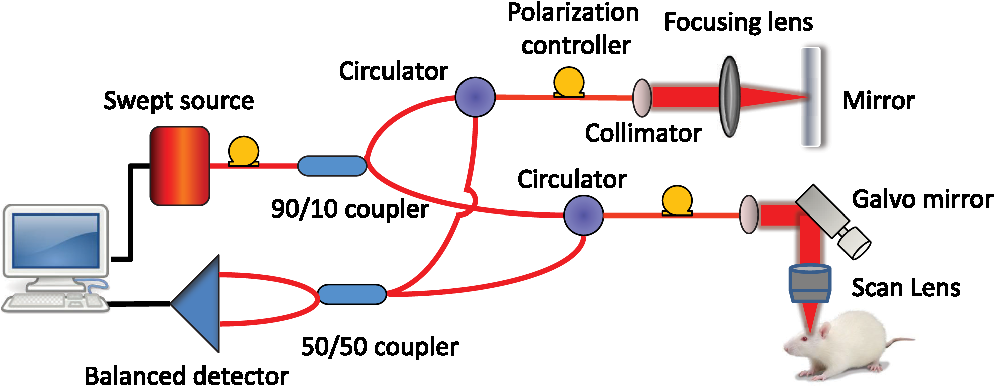 Spatiotemporal dynamics of pial collateral blood flow following ...