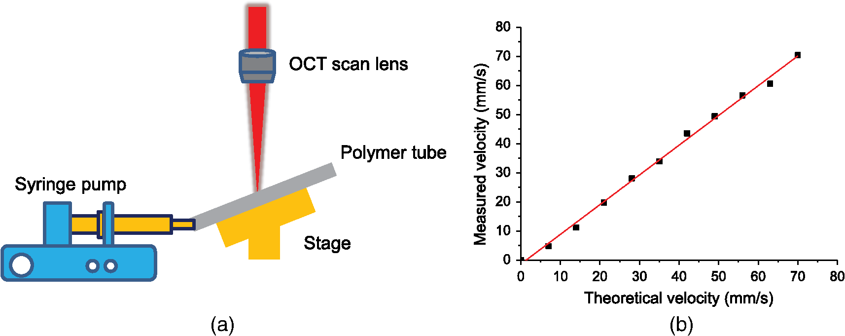 Spatiotemporal dynamics of pial collateral blood flow following ...