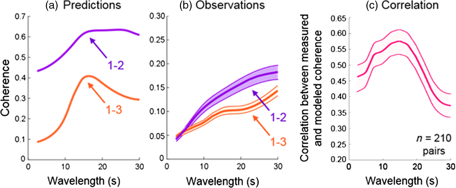 Optimization of wavelet coherence analysis as a measure of neural ...