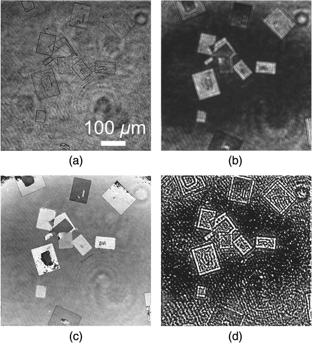 Review of three-dimensional imaging of dynamic objects by parallel ...
