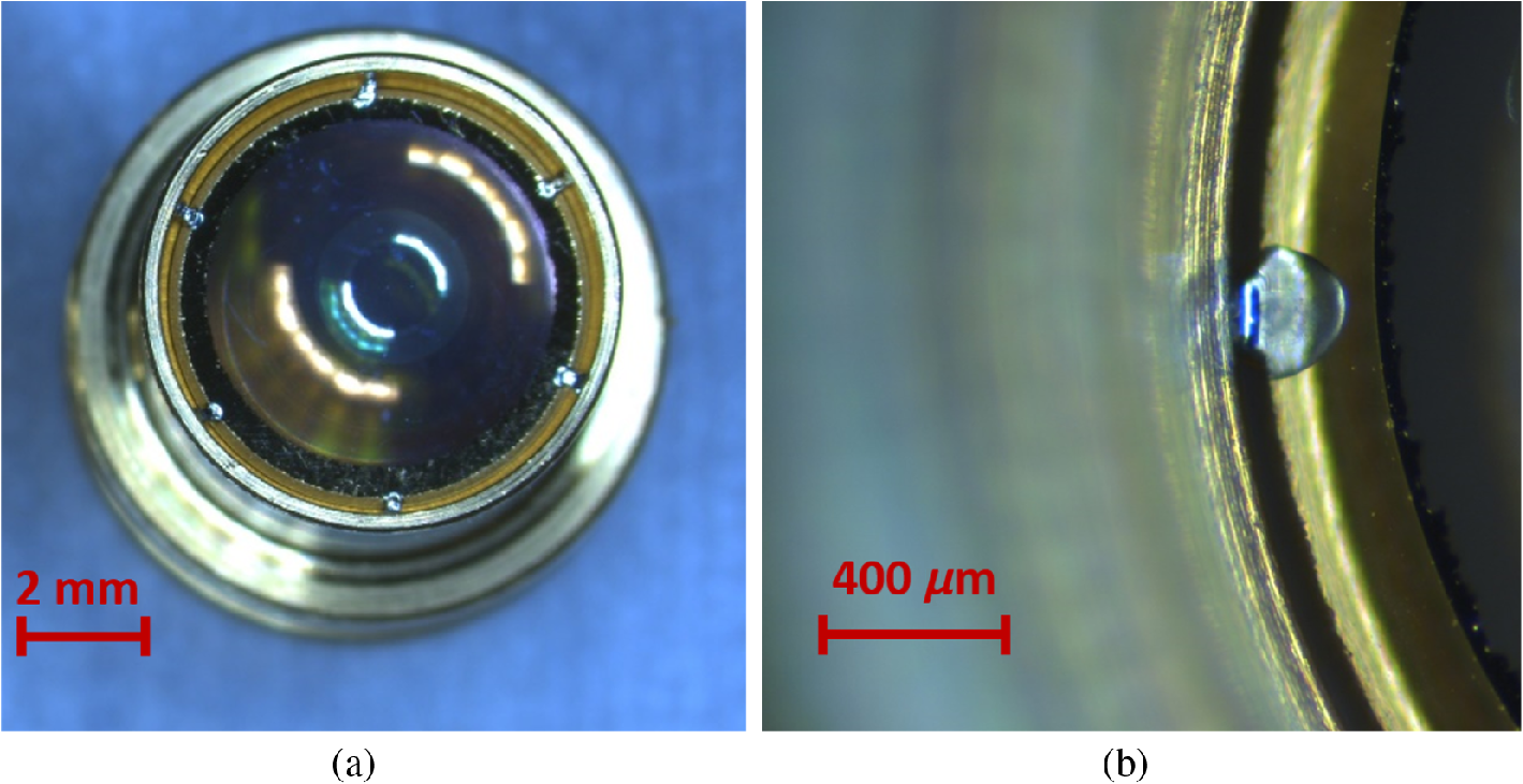 Assembly process and optical performances for a golden laser spark-plug ...