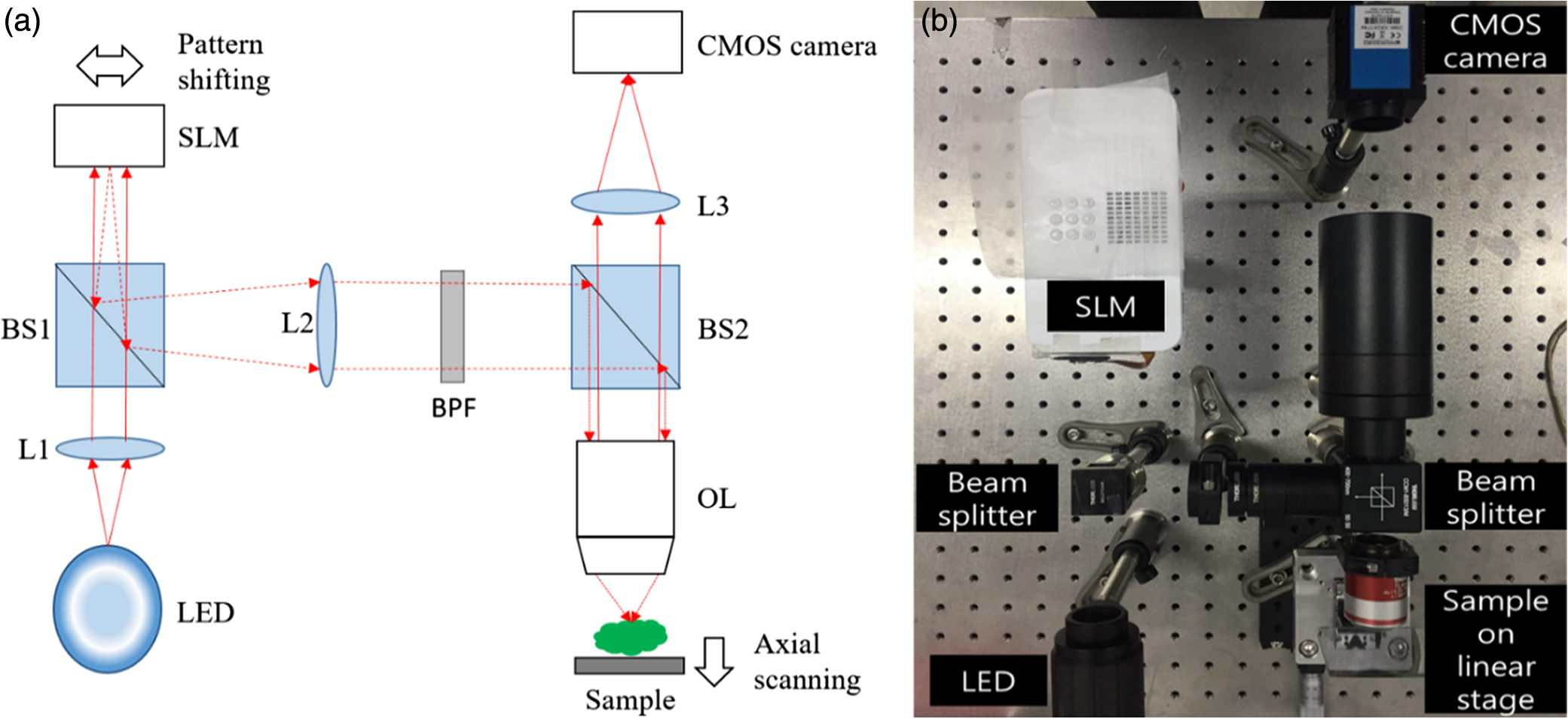 Optimization Of Structured Illumination Microscopy With Designing And